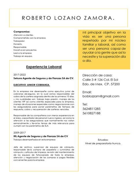 Curriculum Roberto L Pdf