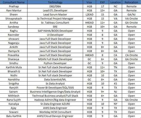 Dotnetdeveloper Dataanalyst Itsecurityanalyst Java Javafullstack