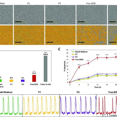 Linear Regression Results Of Tumor Growth Download Table