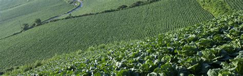 생산인프라 우영채널