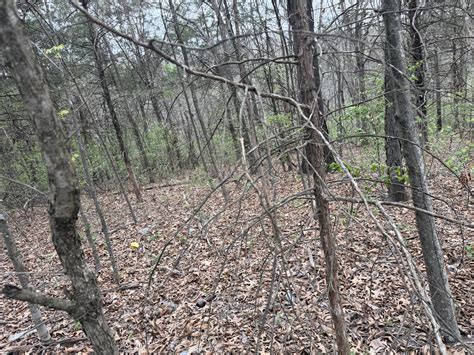 002 Holiday Hills Drive Cape Fair Mo Real Estate Holiday Hill 1st