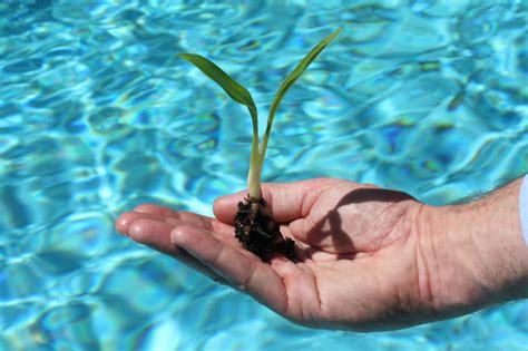 5 Ways To Grow Your Business With 3d2b