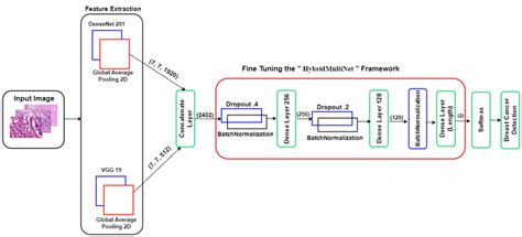 Fine Tuning Process Of Breastmultinet Framwork Download Scientific