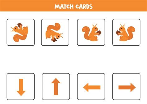 Premium Vector Left Right Up Or Down Spatial Orientation With Cute