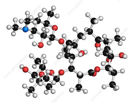 Erythromycin Antibiotic Molecule Stock Image F Science Photo Library