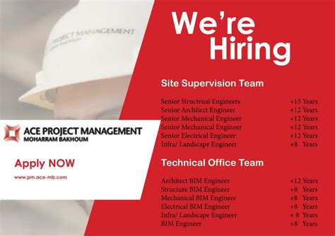 Ace Project Management Moharram Bakhoum On Linkedin Hiring