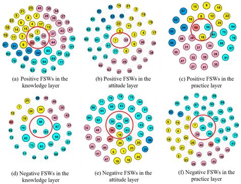 Understanding The Hierarchical Relationships In Female Sex Workers