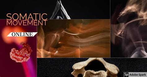 What Is Somatic Movement Somatic Exercise Mbdr
