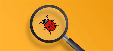 Какво е Qa и как се яде