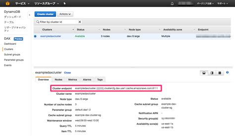 【新機能】インメモリ型キャッシュクラスタで超高速化！amazon Dynamodb Accelerator Dax のプレビュー版で速さを