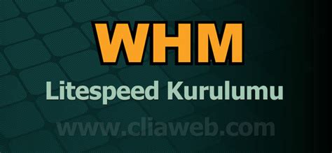 CPanel WHM Litespeed Kurulumu