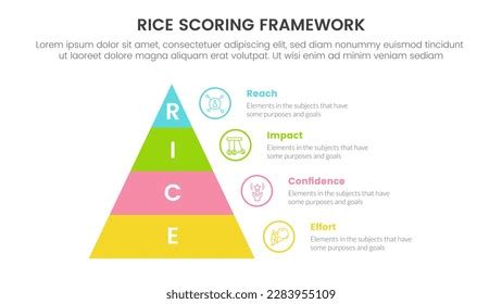 Rice Scoring Model Framework Prioritization Infographic Stock Vector Royalty Free