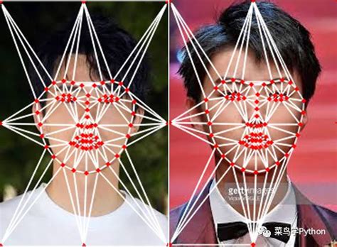 用python玩人脸合成，你也能有一张明星脸（附代码）python人脸合成 Csdn博客