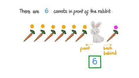 Question Video Finding The Number Of Objects Nagwa