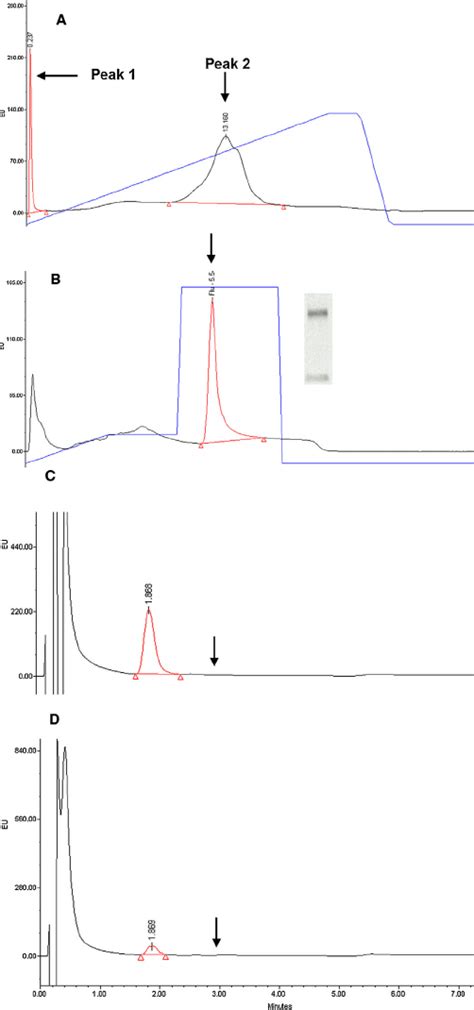 Method Development For Virus Separation And Specificity A Linear