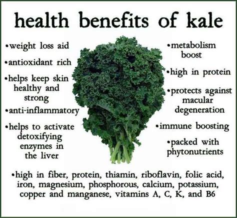 Health Benefits Of Kale For Weight Loss Cancer Arthritis