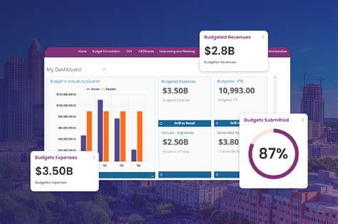 Budget Enterprise Euna Solutions