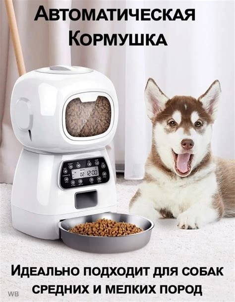 Автокормушка Gurskiy Pets для кошек и собак мелких и средних пород | отзывы
