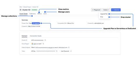 Manage Cluster Cloud Zilliz Cloud Developer Hub
