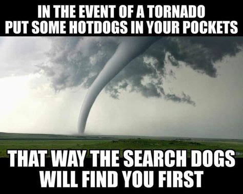 Tornado Memes Funny