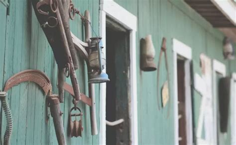 Примеры Xpath в Screaming Frog Seo Spider