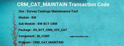 Crm Cat Maintain Sap Tcode For Survey Catalogs Maintenance Tool