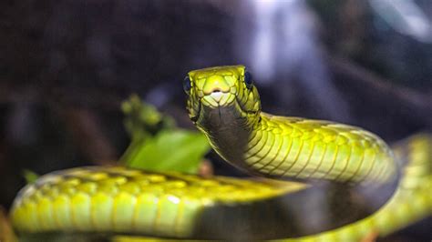 Quick Tips Beware Enantiotropic Polymorphs