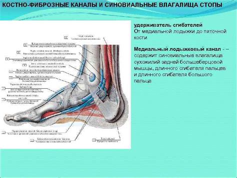 ФЕДЕРАЛЬНОЕ АГЕНТСТВО ПО ОБРАЗОВАНИЮ НОВГОРОДСКИЙ ГОСУДАРСТВЕННЫЙ ...