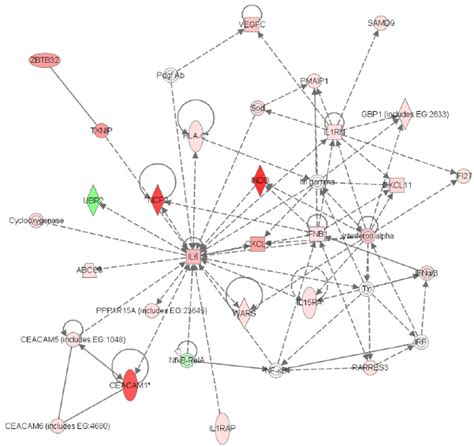 Network Of Interactions Among Genes Differentially Expressed Following