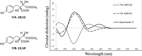 Comparisons Of Calculated Ecd Spectra Of 17a And 17b And Experimental
