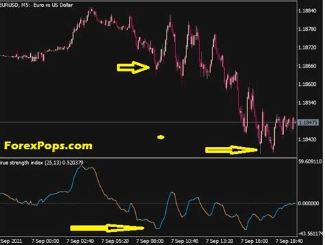 True Strength Indicator For Mt4