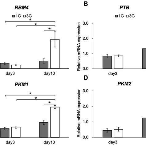 The Experimental Protocol Of Neural Differentiation Induction The Download Scientific Diagram