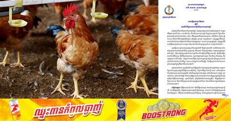 ក្រសួងសុខាភិបាល ចេញសេចក្តីប្រកាសព័ត៌មាន ស្តីពីករណីជំងឺផ្តាសាយបក្សីលើបុរសអាយុ ៦៩ឆ្នាំ