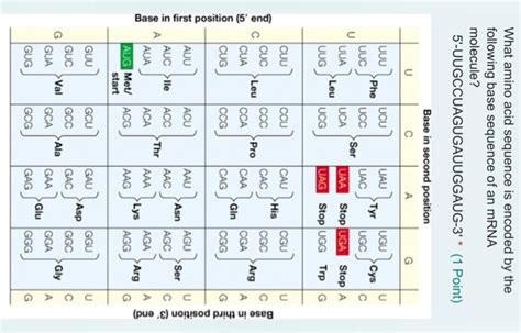 solved what amino acid sequence is encoded by the following
