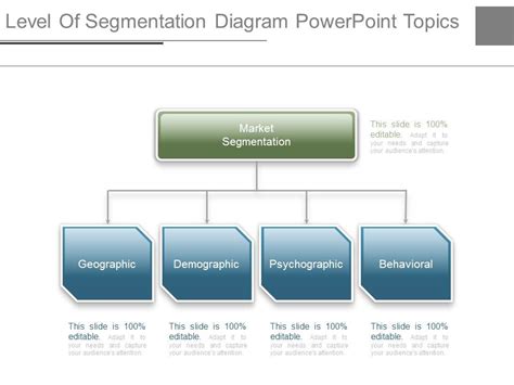 Level Of Segmentation Diagram Powerpoint Topics