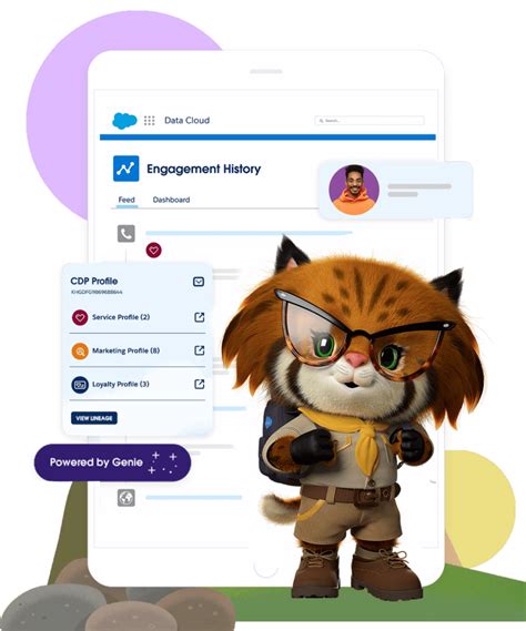Salesforce Cdp Intelligent Digital Marketing Agency