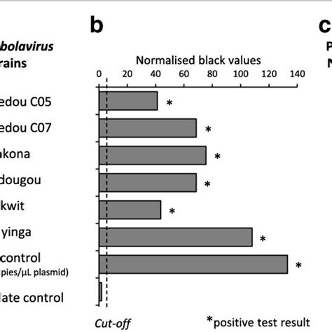 Rpa Lfs Detection Of Zaire Ebolavirus Strains A Photograph Of Lfs With