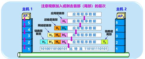 【计算机网络】五层协议体系结构的数据传输过程 五层模型数据传输过程 csdn博客