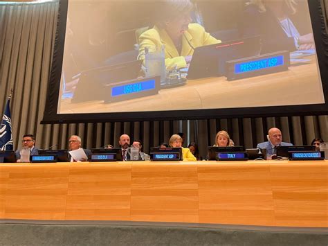 Commemoration Of The Twenty Fifth Anniversary Of The Adoption Of The