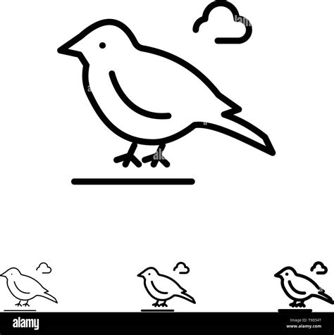 bird british small sparrow bold and thin black line icon set stock