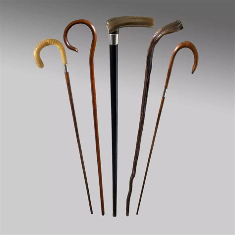 Collection 19th Century Walking Sticks In Antique Walking Sticks And Canes