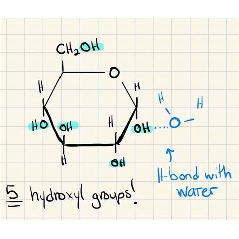 Hydrocolloids An Innovative And Essential Gluten Replacer Gluten