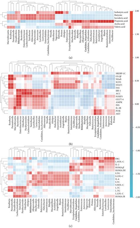 Heatmap Comparison And Hierarchical Clustering Dendrogram Between Download Scientific Diagram