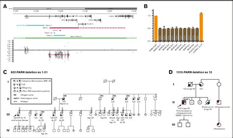 Figure 2 From Telomere Biology Disorder Prevalence And Phenotypes In