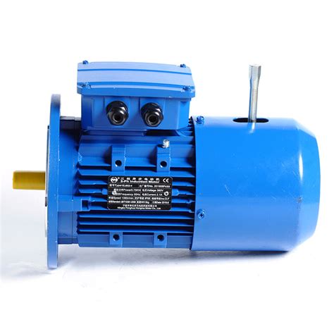 Electromagnetic Braking Three Phase Asynchronous Motor China