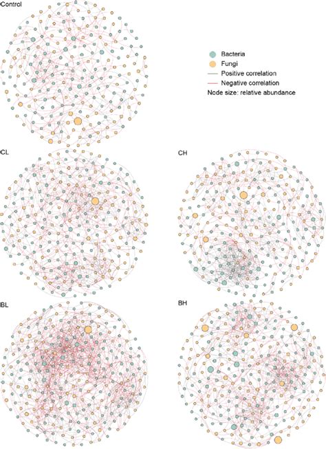 Network Visualization Of Co Occurring Bacteria And Fungi Per Treatment