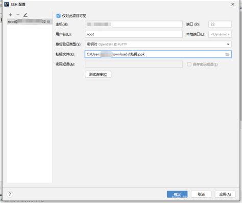 图文详细讲解 使用intellij Idea连接阿里云服务器 Linux Ecs 并且传输文件intellij Idea如何连接服务器 Csdn博客
