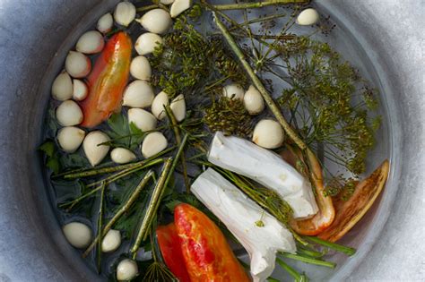 통조림을 위한 향신료 준비 고추 마늘 딜 고추냉이 실란트로는 깨끗한 물로 채워진 알루미늄 분지 안에 있습니다 맨 위 보기입니다 0명에 대한 스톡 사진 및 기타 이미지