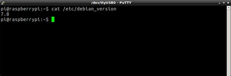 【教學常見問與答】如何看 Raspbian 的版本資訊？ 台灣樹莓派