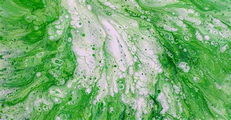 녹색과 흰색 물질의 클로즈업 사진 Unsplash의 녹색 이미지